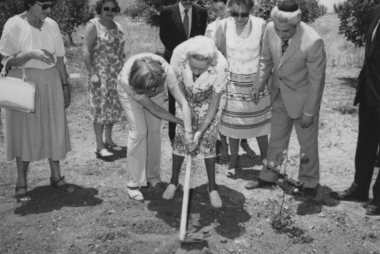 Dorothea Neff - Alchetron, The Free Social Encyclopedia